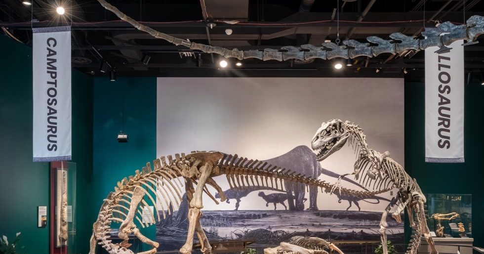 Science Museum of Minnesota | Visit Roseville, MN